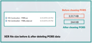 Primavera P6 XER Schedule Cleaner